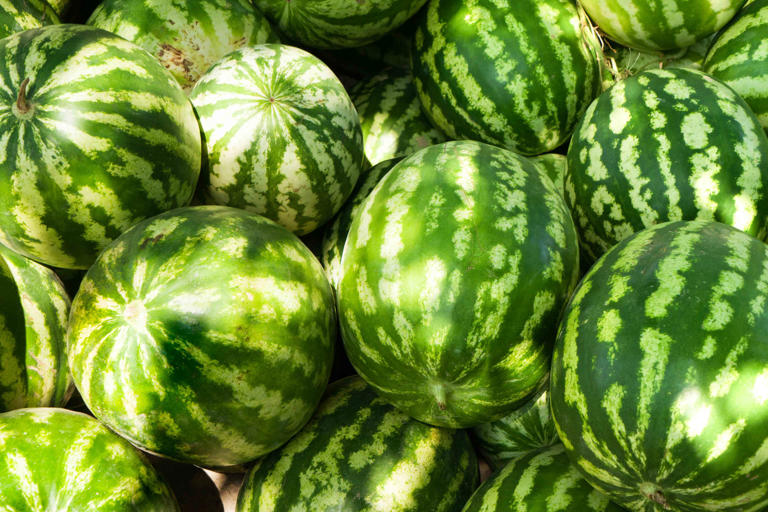 The best way to store whole watermelon, according to farmers
