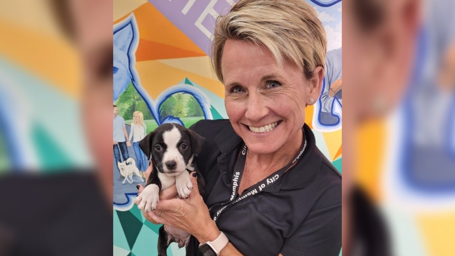 How the new MAS director plans to address city’s stray dog problem