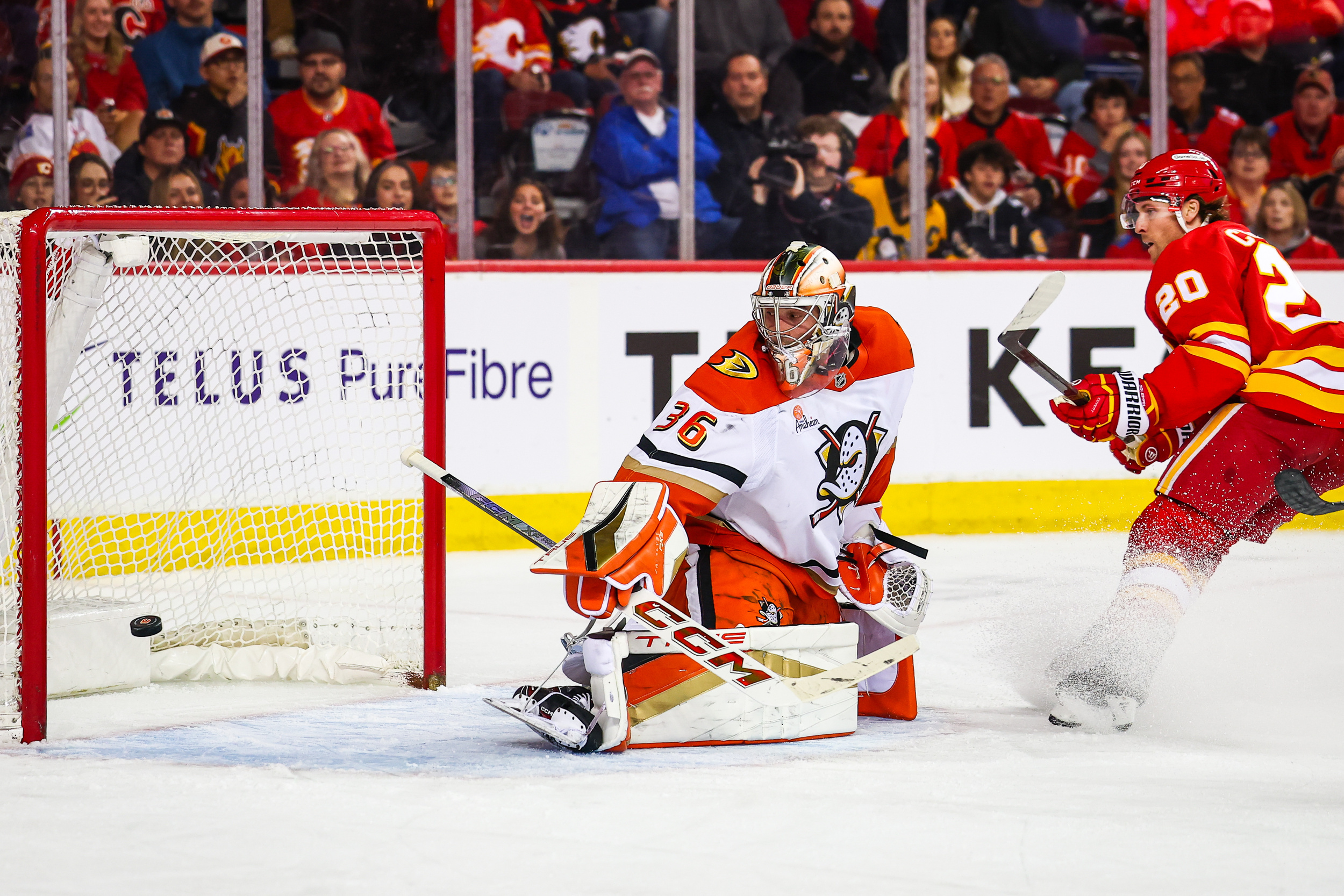 Ducks’ Goalie John Gibson Traded to Red Wings