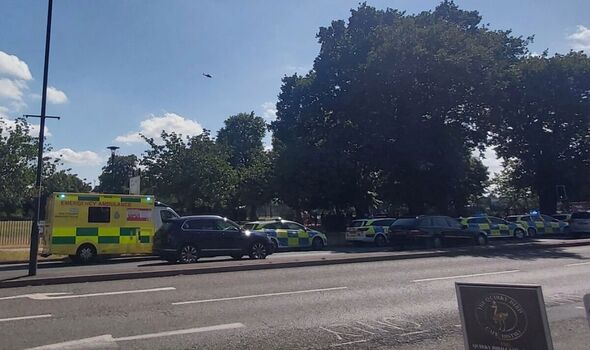 Girl, 7, killed and six-year-old in critical condition in Southend Park ...