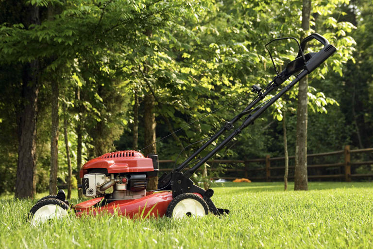 How to Sharpen Lawn Mower Blades for the Cleanest Cut, According to ...