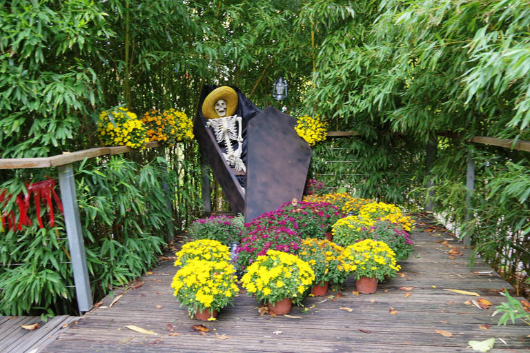 Top Amusement Parks in Idaho: Fun Destinations for the Whole Family