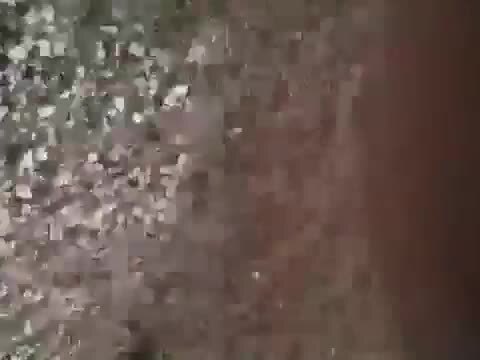 Guy Gets Knocked Backwards by Net Gun