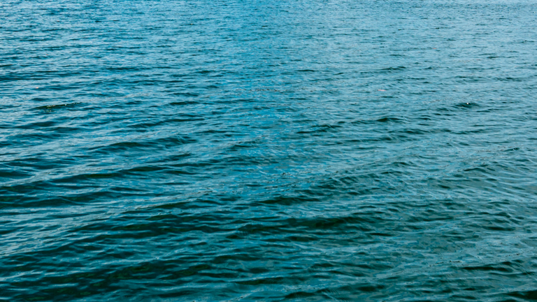Detroit man, 27, dead after falling off dock into Lake St. Clair ...