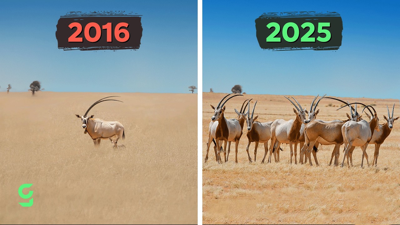 These 10 Species Were Saved From Extinction