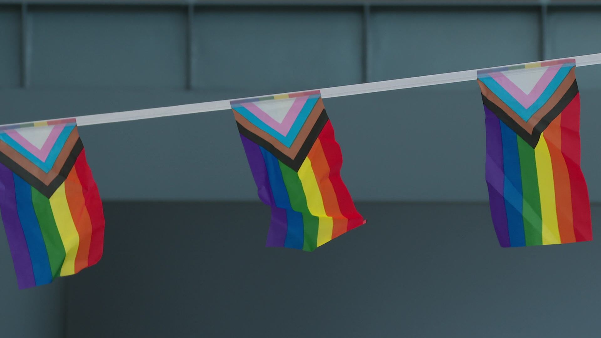 Sun Prairie Pride Fest fosters welcoming, inclusive community for youth