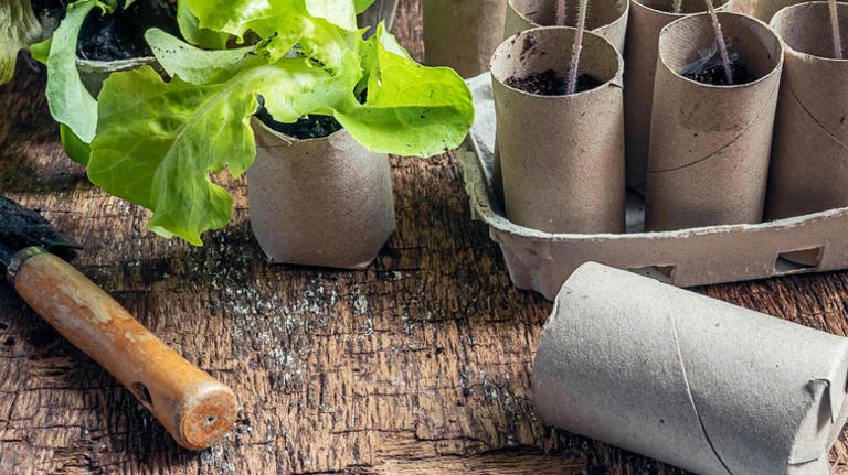 Don't Throw Out Old Toilet Paper Tubes: Reuse Them For A Lush Garden Oasis