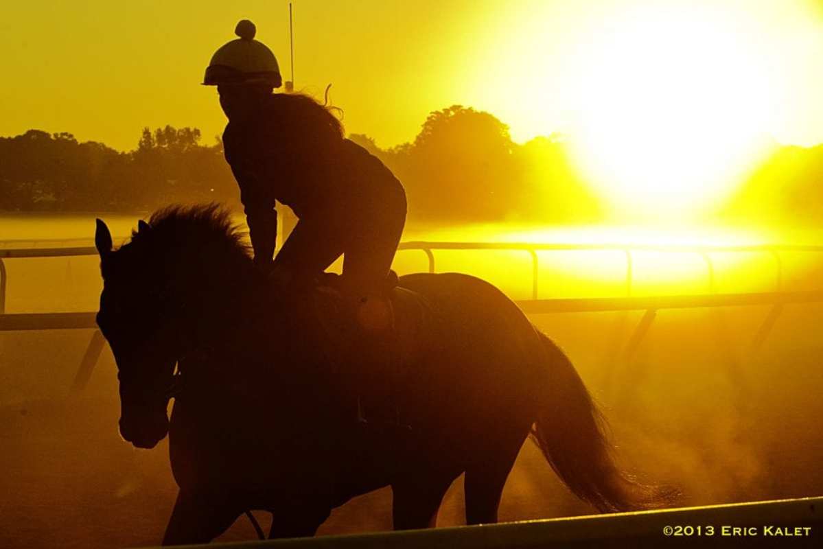 Precautionary Quarantine Lifted For Two Saratoga Barns