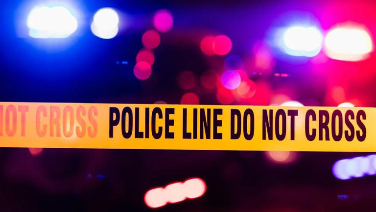 Police seek name after skeletal remains found near Utica Marsh