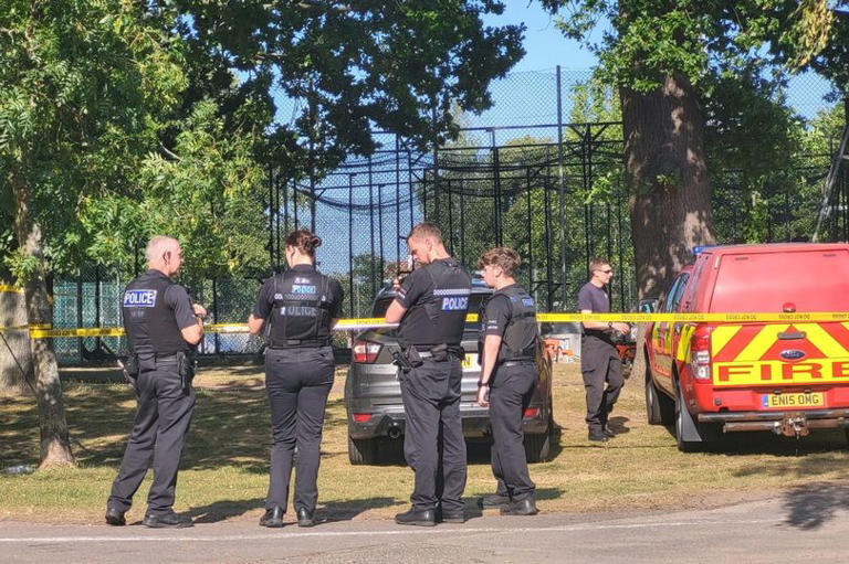 Update on girl, 6, in 'very serious' condition after tree fall which ...