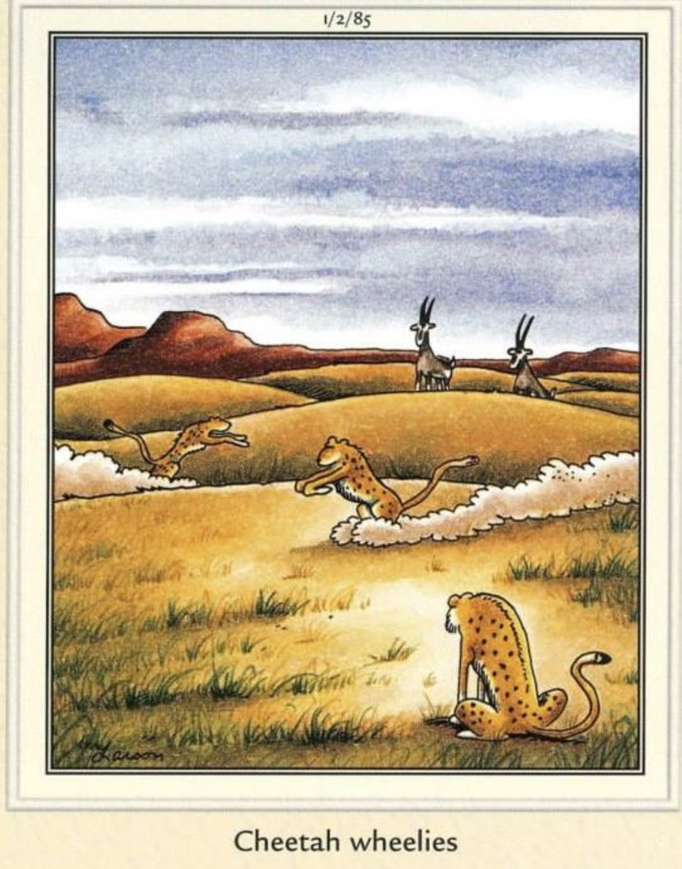 10 Underrated Far Side Comics for Everyone Who Loves Animals