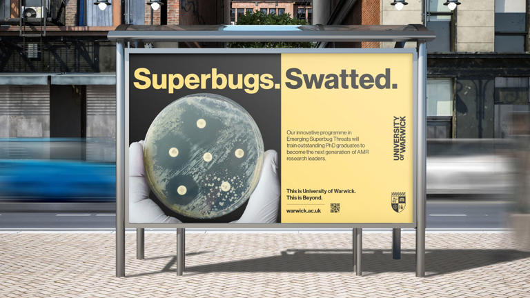 Universities, take note: Warwick's refreshing rebrand shows how to ...