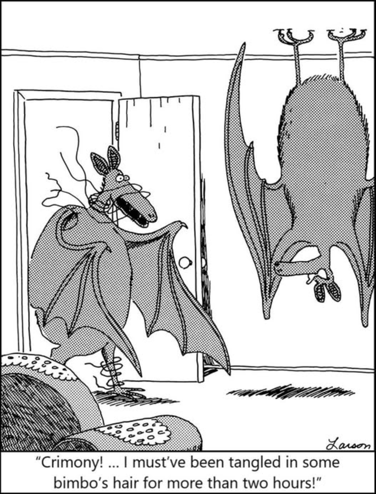 10 Underrated Far Side Comics for Everyone Who Loves Animals