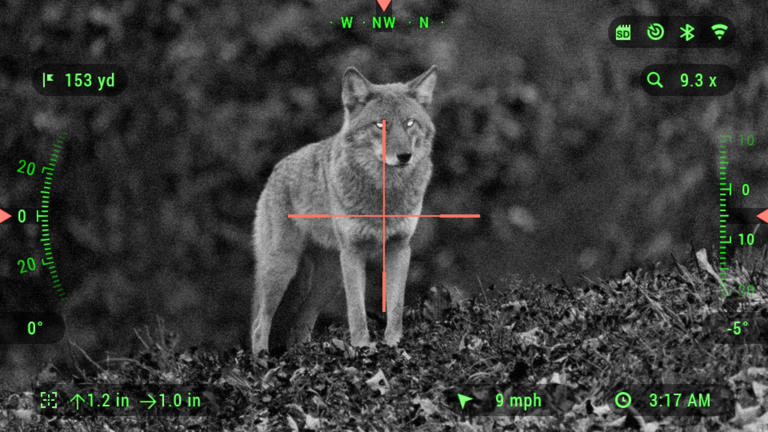 Kansas extended night-vision coyote hunting later into the season—here ...