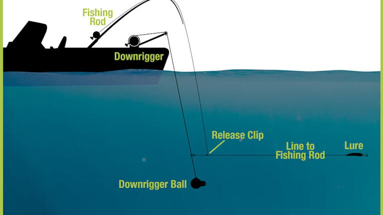 How to Fish With a Downrigger: Deep Water Trolling Tips for Trout ...