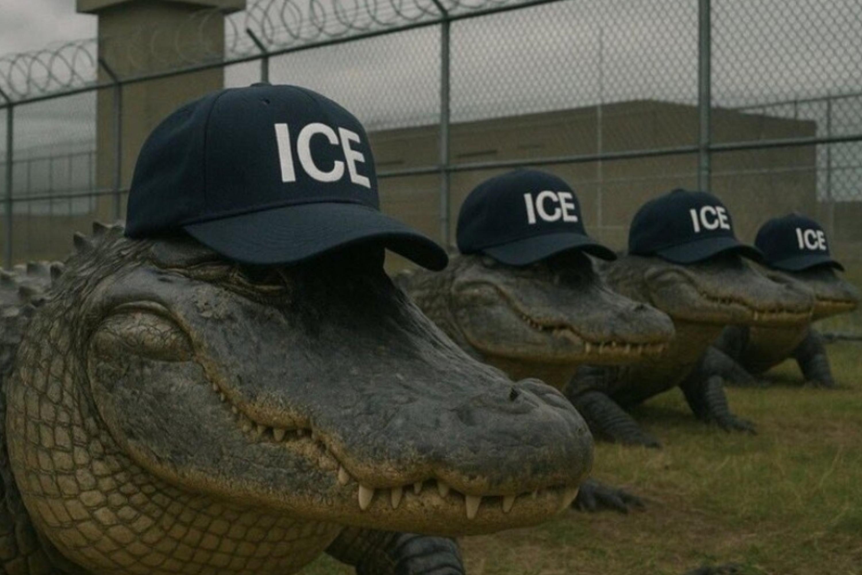 Trump admin shares meme of ICE alligators outside Florida prison