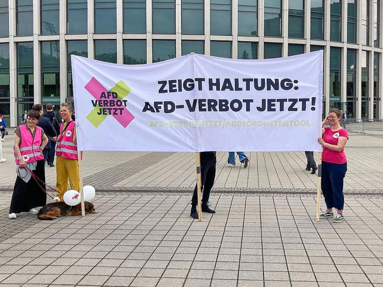 Union warnt SPD vor neuer Debatte um AfD-Verbotsprüfung