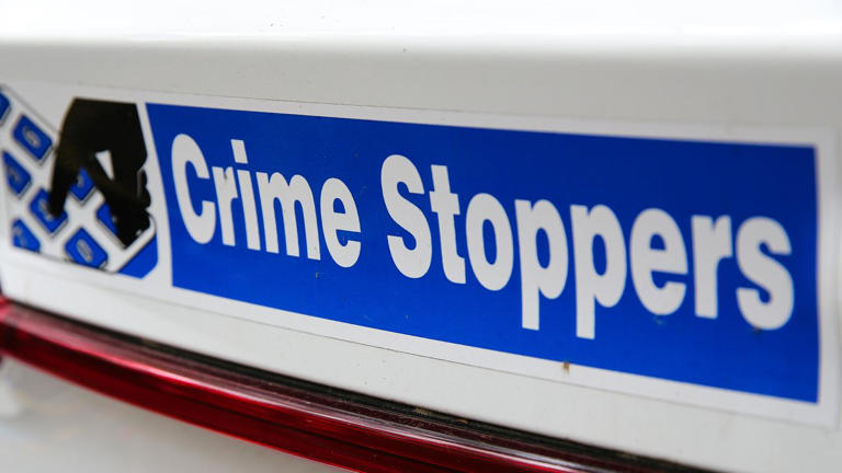 Teens charged after chaotic crash