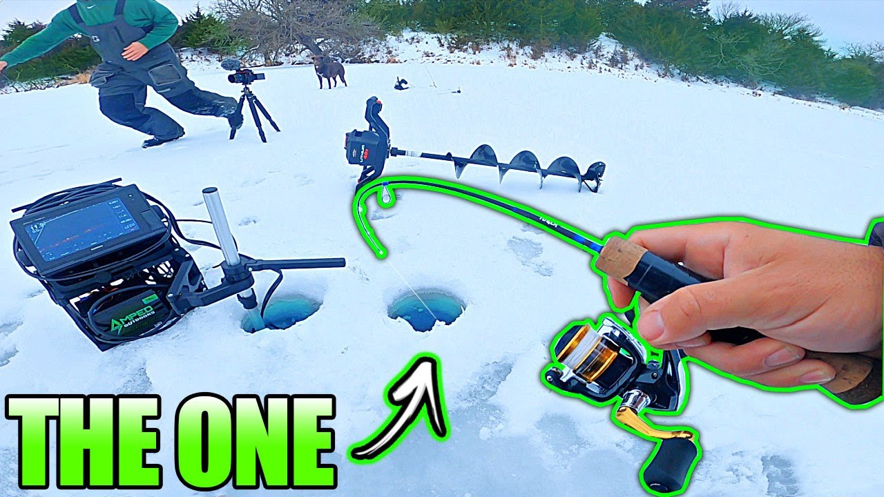 Angler lands trophy fish after 31 years of waiting