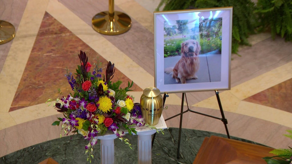 Brooklyn Park vet clinic that tried to save Hortmans' dog, Gilbert ...