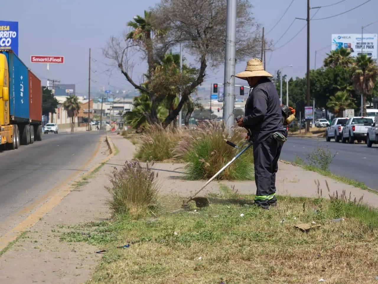 Tijuana: Clean City Program Benefits Over 8,000 Residents in Several ...