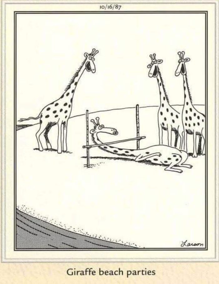 10 Underrated Far Side Comics for Everyone Who Loves Animals