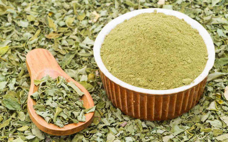 Propiedades, usos y beneficios avanzados de la Moringa oleifera ...