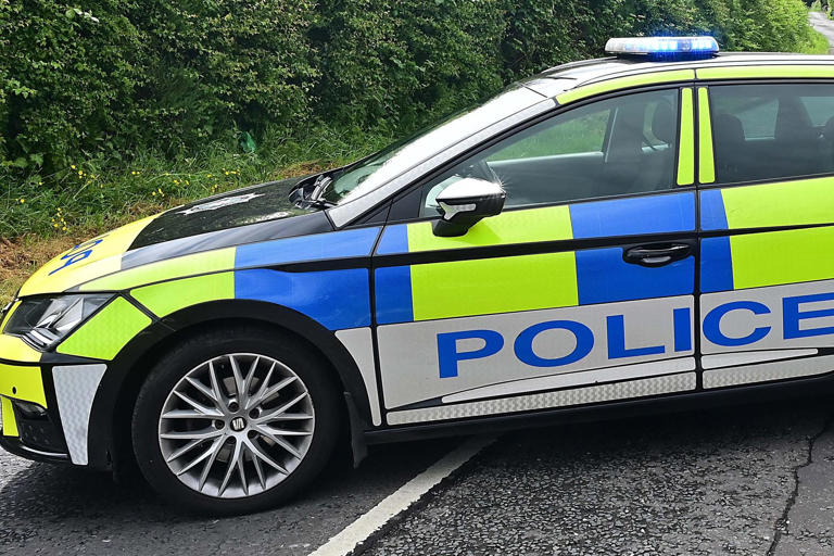 Police seek witnesses after window at elderly woman's home smashed by ...