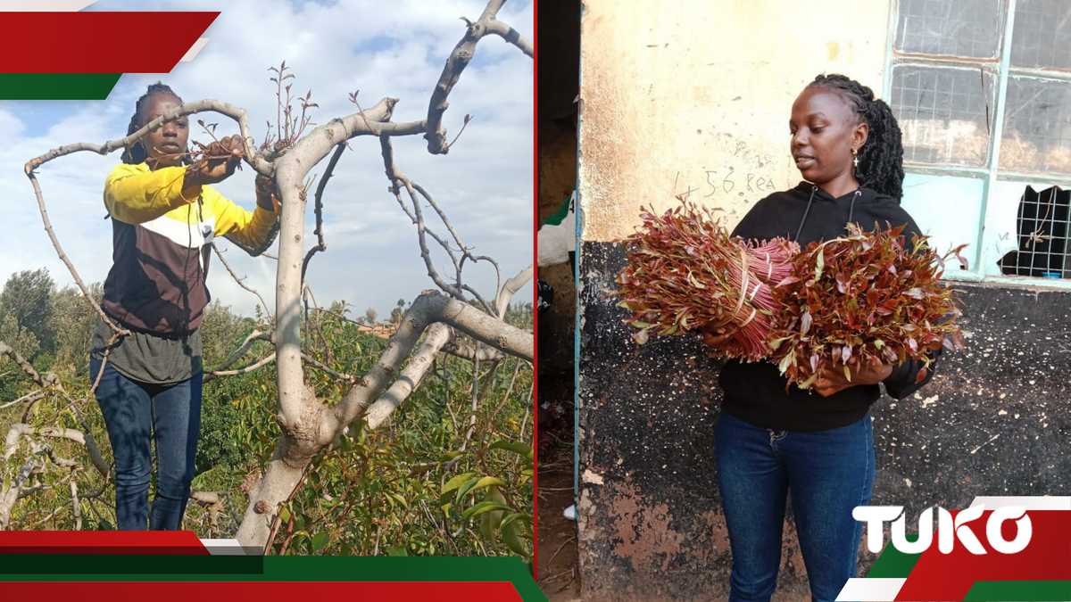 Mercy Mukiri: 26-year-old Meru lady narrates how she built a thriving ...