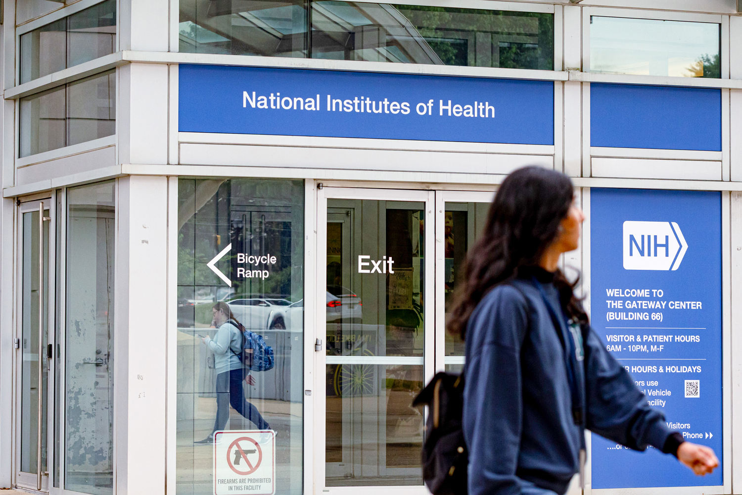 Drastic cuts to NIH will halt brain research on the cusp of ...