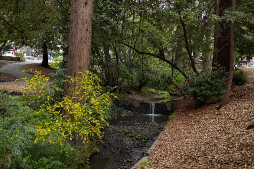 Contributor: The California story we keep erasing