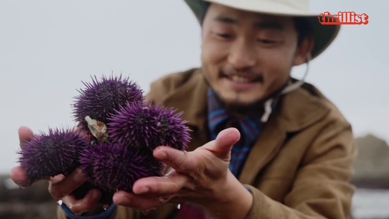 Coastal Foraging Catch and Cook | MINI Adventure