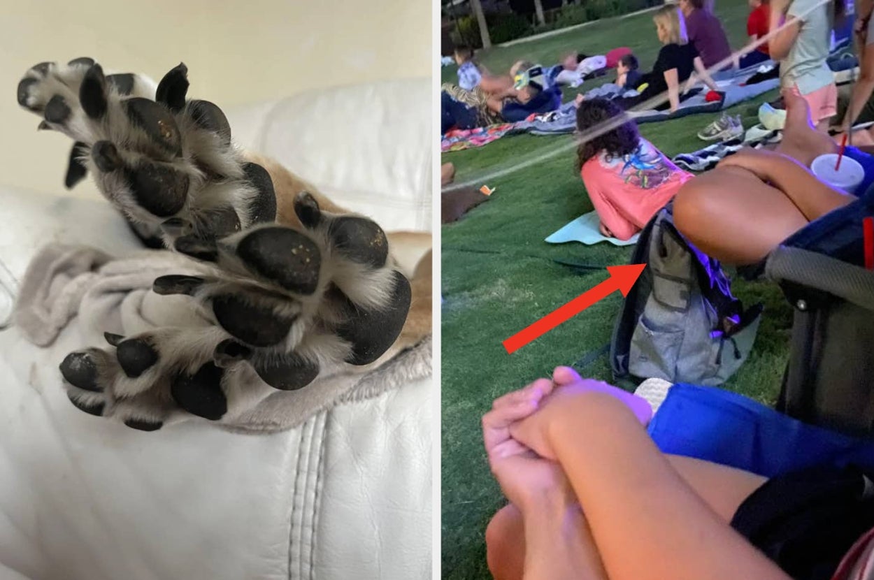 13 Confusing Photos From This Week That Are More Confusing Than ...