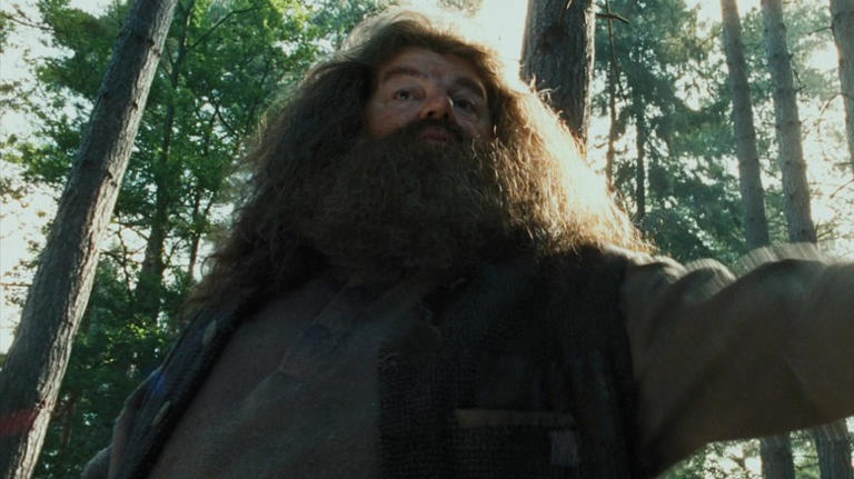 What House Was Hagrid In Before Harry Potter And The Sorcerer's Stone?