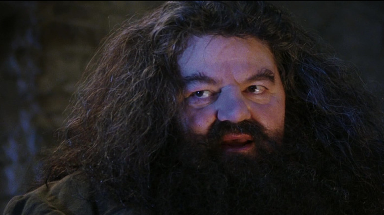 What House Was Hagrid In Before Harry Potter And The Sorcerer's Stone?