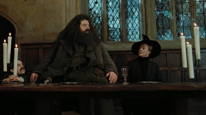 What House Was Hagrid In Before Harry Potter And The Sorcerer's Stone?