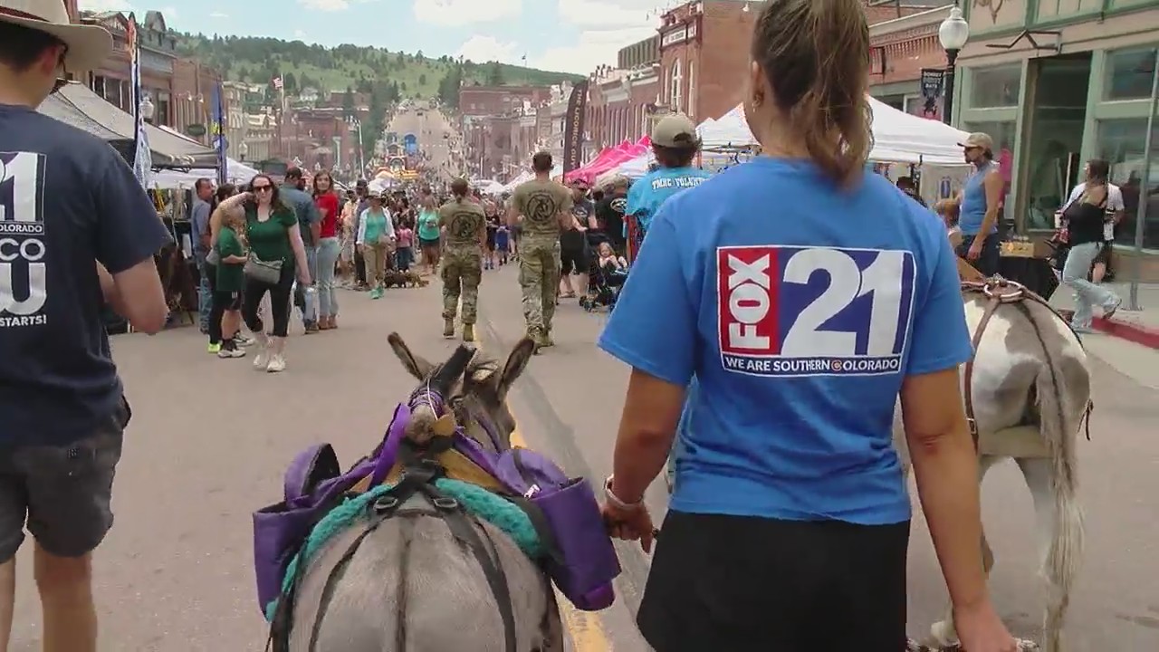 FOX21 Anchors win Donkey Derby Day race in Cripple Creek