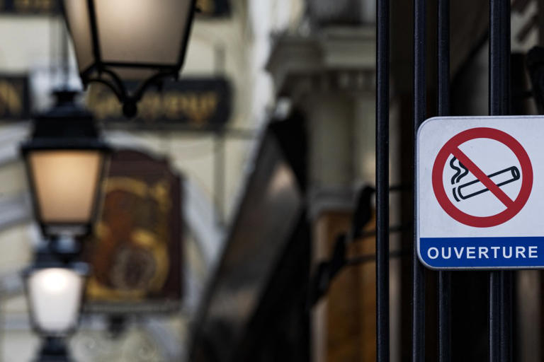 France to ban smoking in parks, beaches, and near schools in new public ...