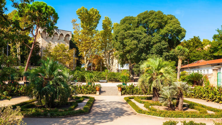 C’est le tout premier jardin botanique de France, un véritable écrin de ...