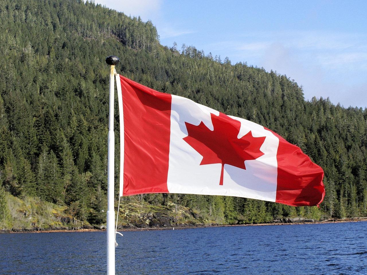 14 Canadian-Made Products Taking Over American Homes