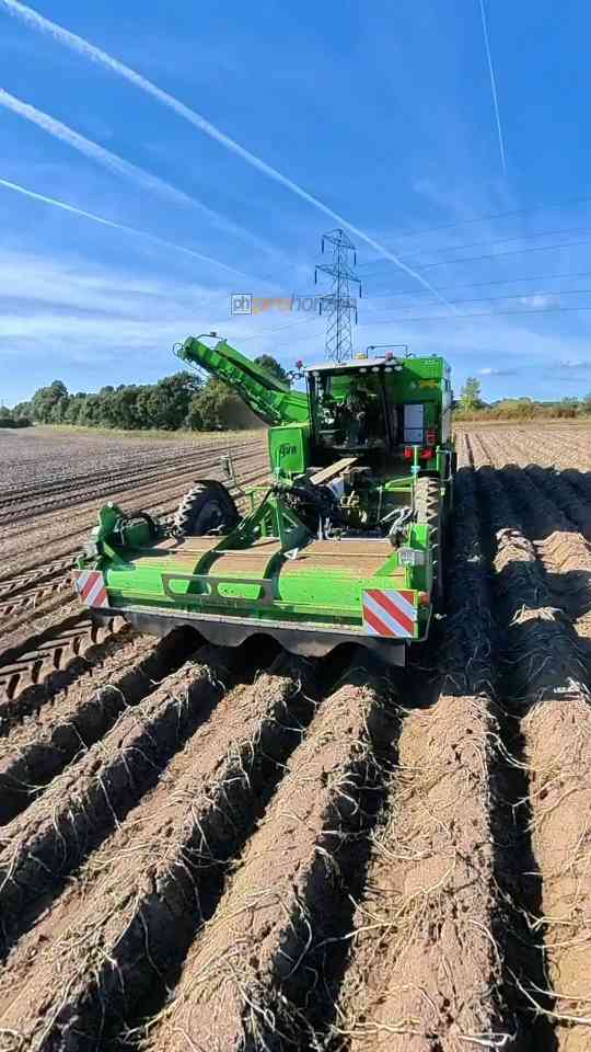 4-Row AVR Potato Harvester in Action at Fisher Farms