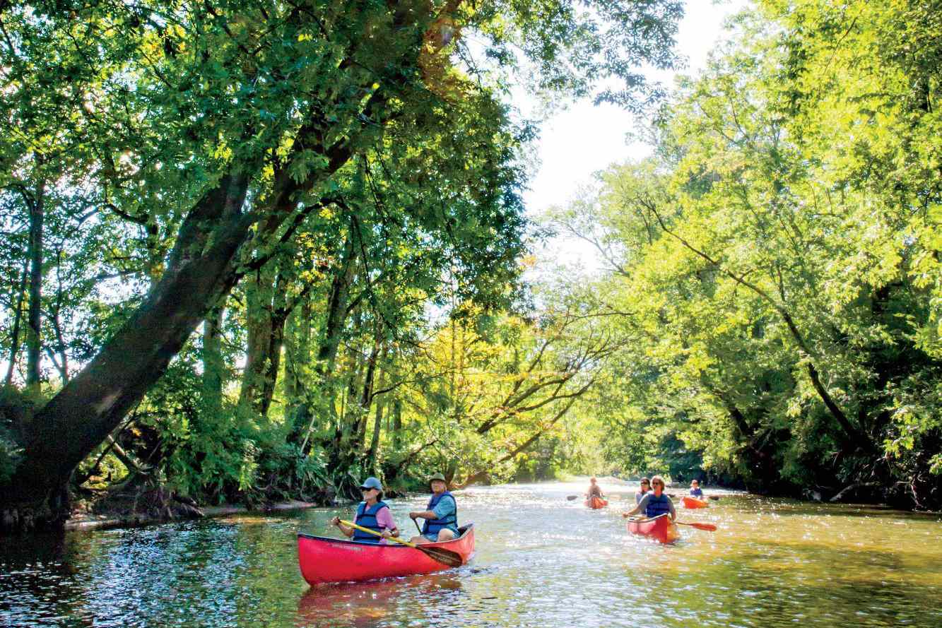 14 things on our editors' old-fashioned summer bucket list