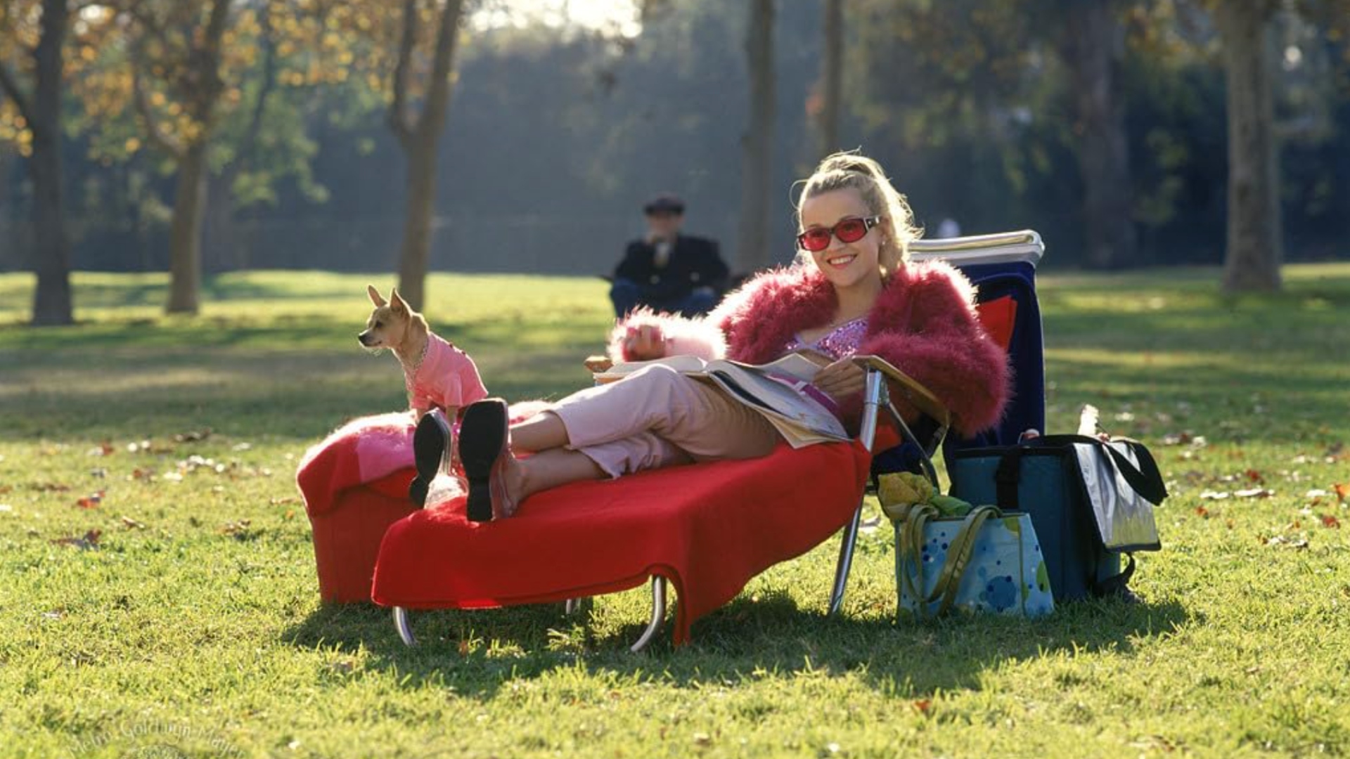 Elle: Everything we know about Prime Video's Legally Blonde prequel TV show