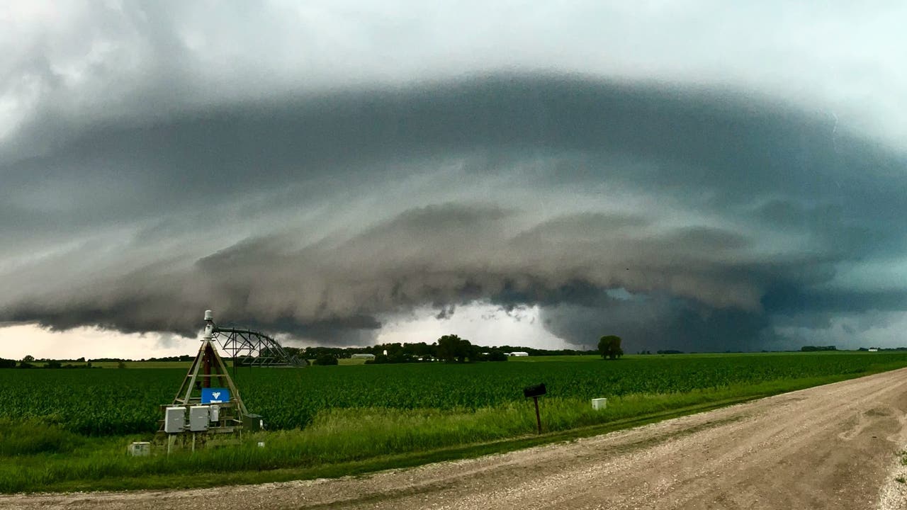 Minnesota weather: Overnight storms lead to power outages, downed trees