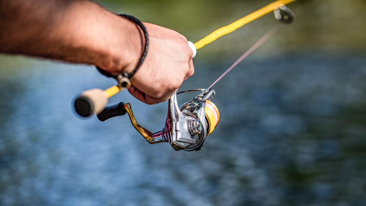 7 Hidden Fishing Spots That Hold Monster Bass