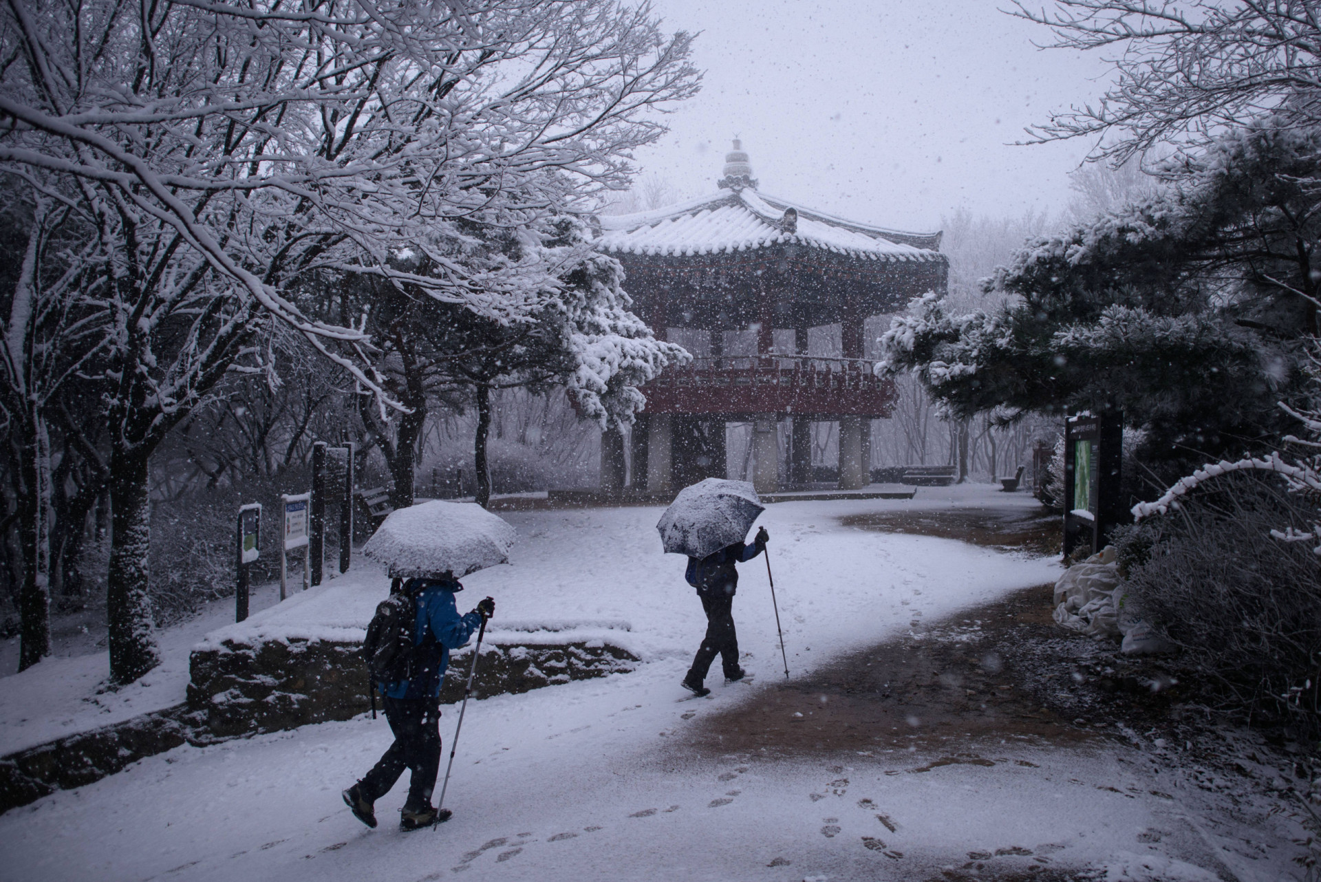 Essential hiking tips everyone should know