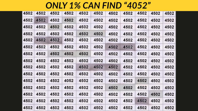 Optical Illusion: Only 1% Can Find “4052” Among “4502” in 7 Seconds!