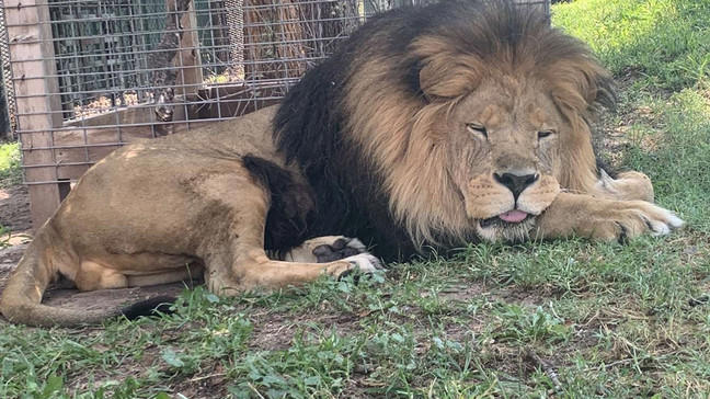 7 on ABC 7: The 7 biggest stories from last week you might have missed