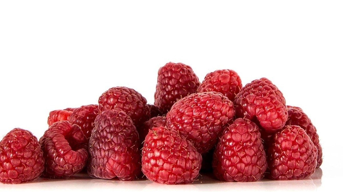8 snacks saludables para personas que están dejando de consumir azúcar