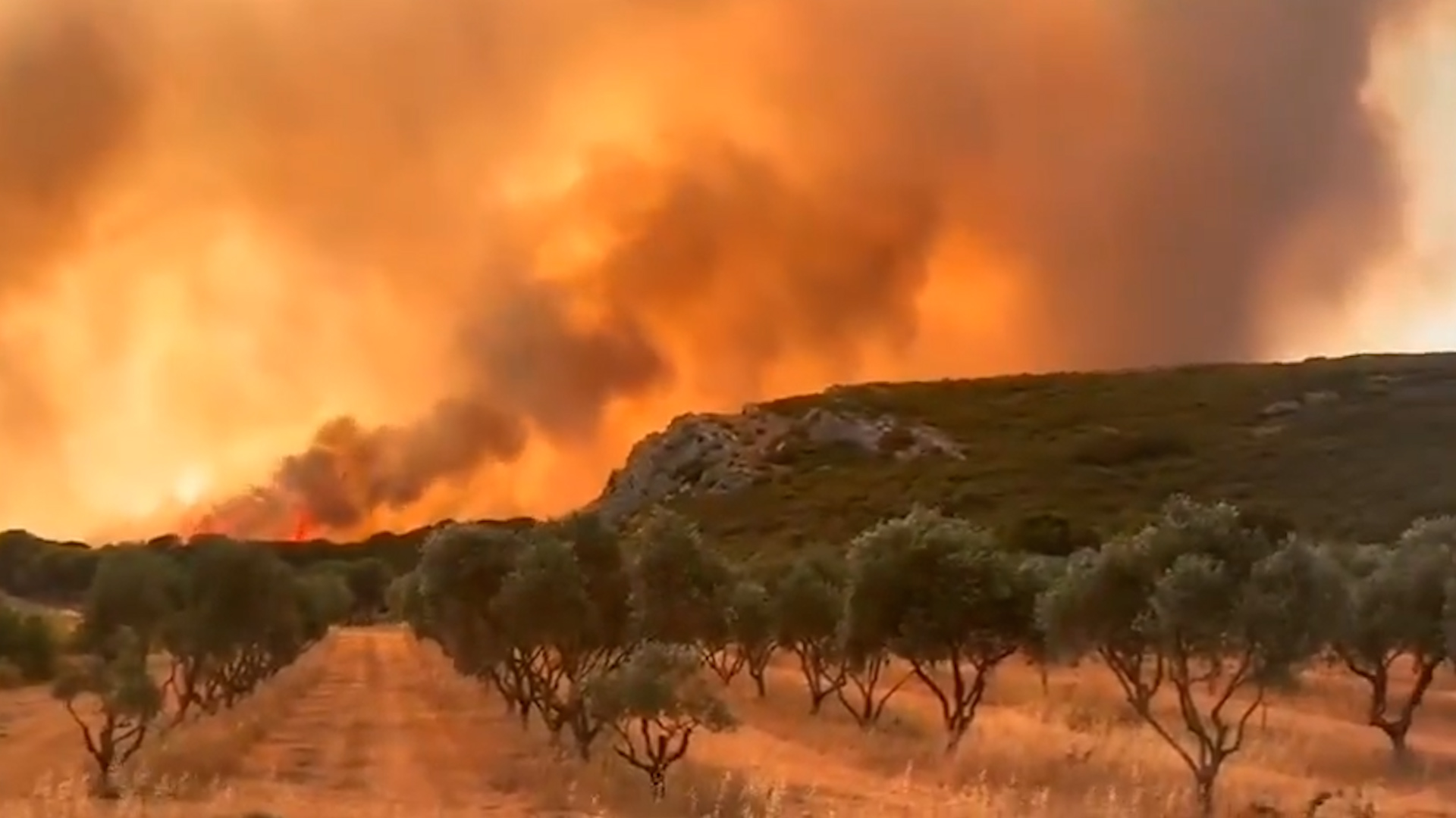 Aude : plusieurs départs de feu près de Narbonne, un camping évacué